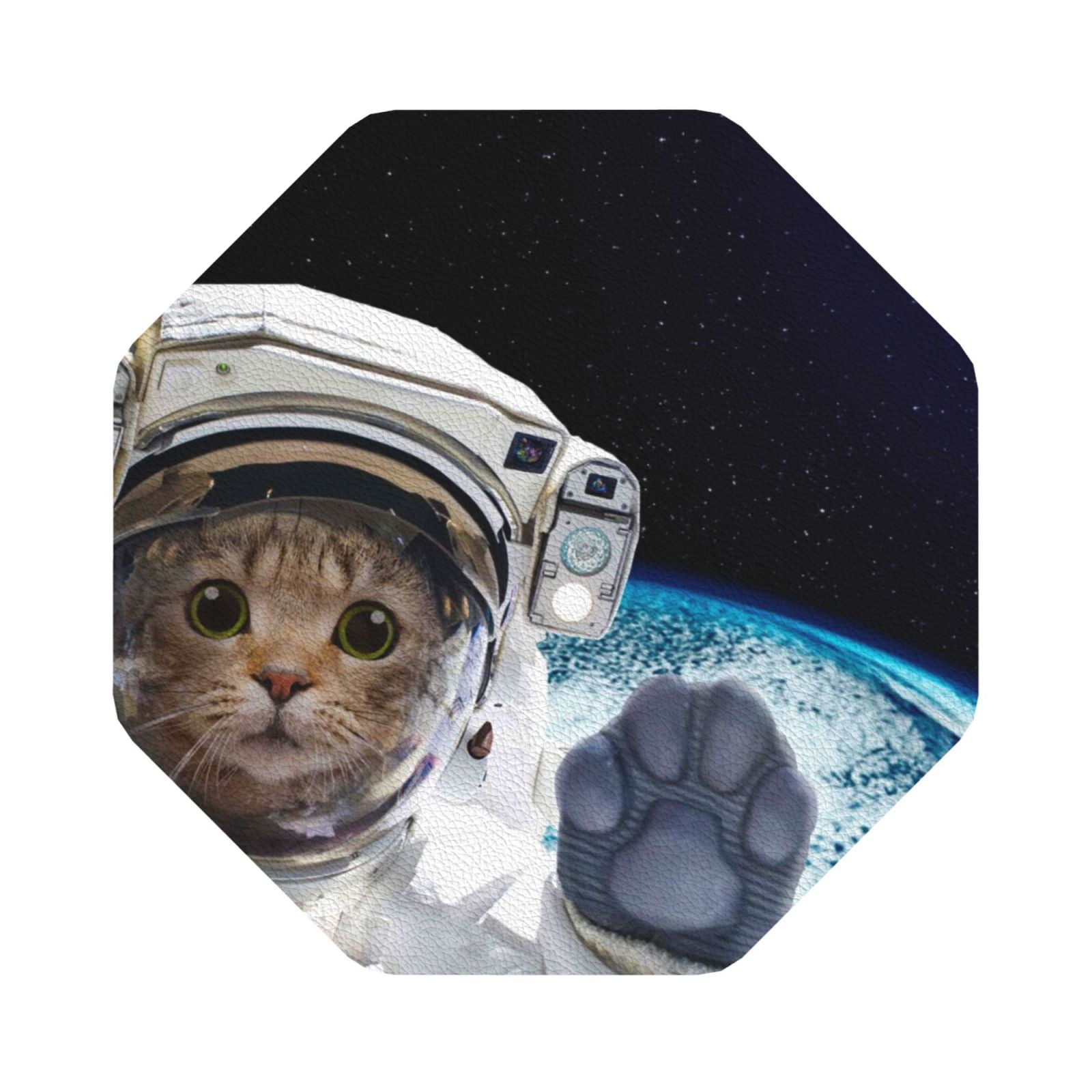 Disketp Cat Astronaut Funny Coasters,4 Pcs Leather Coasters With Holder ...