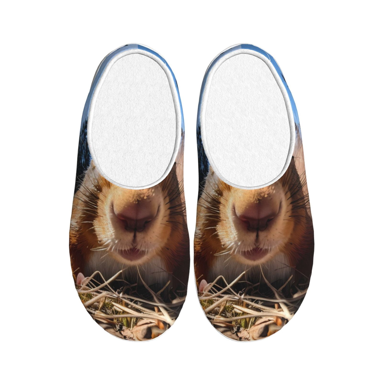 Disketp Close-Up Curious Squirrel Women's Men's Slippers Plush Slip-On ...