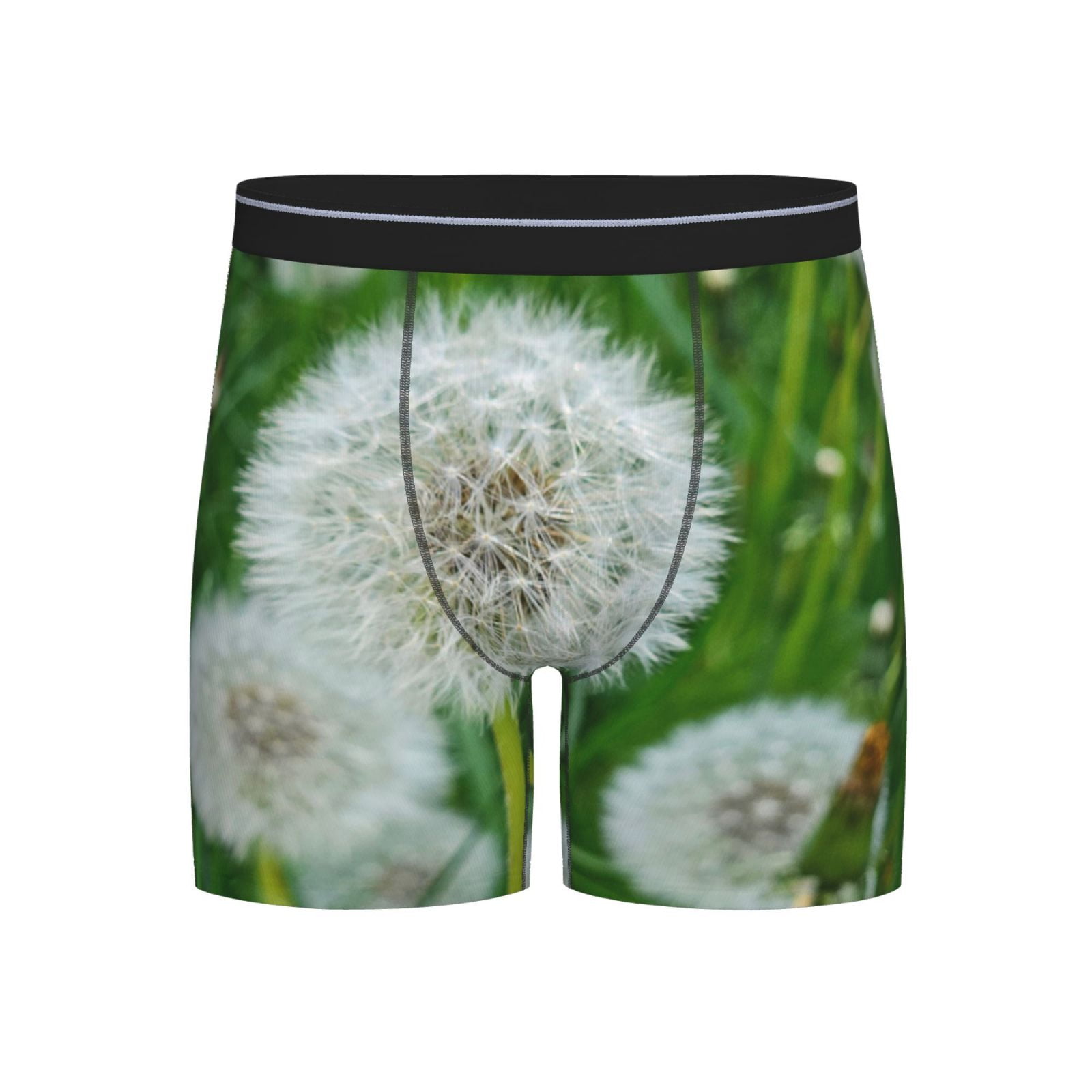 Disketp Dandelion Flower In The Meadow Men's Boxer Briefs Men’s ...