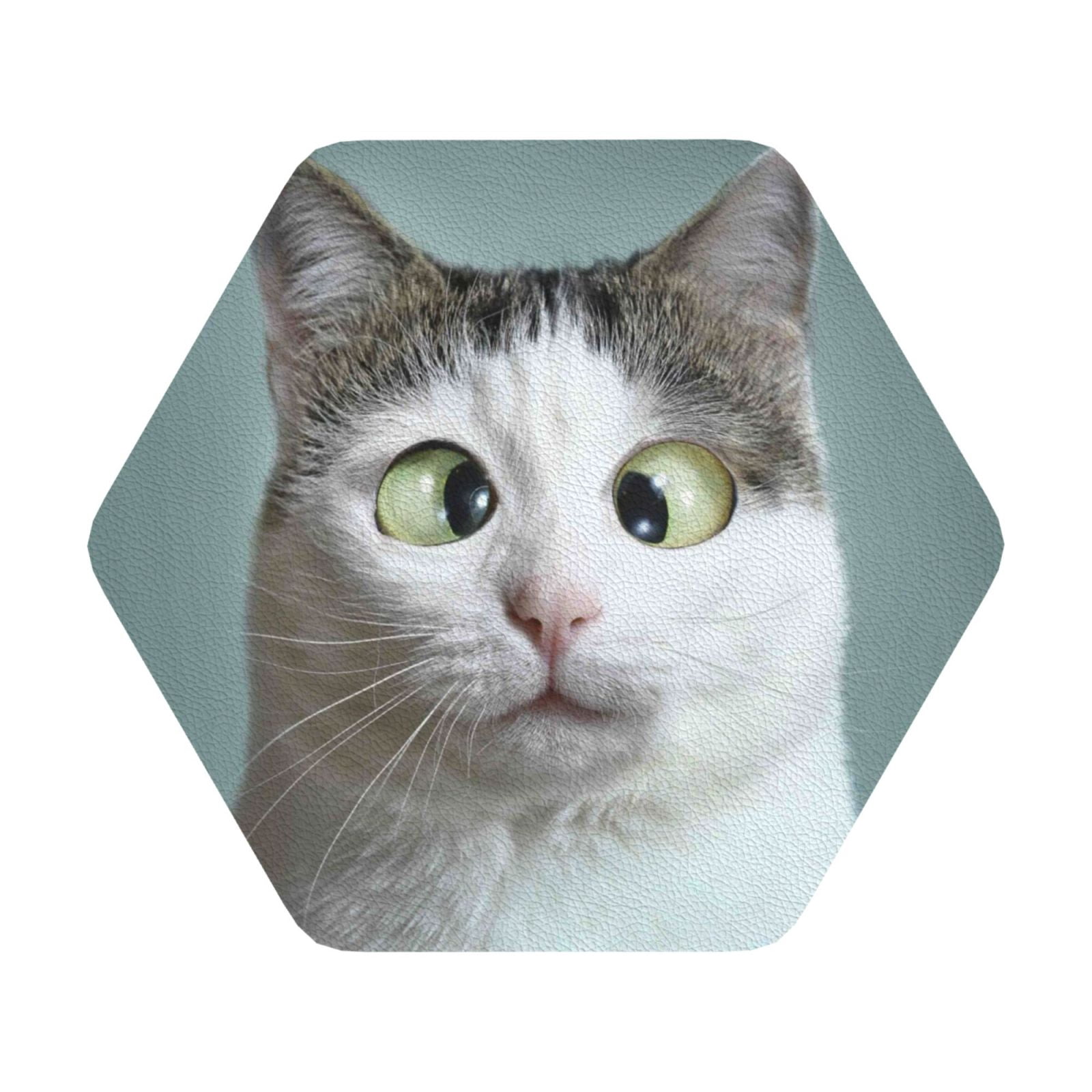 Disketp Funny Cat Funny Coasters,6 Pcs Leather Coasters With Holder ...