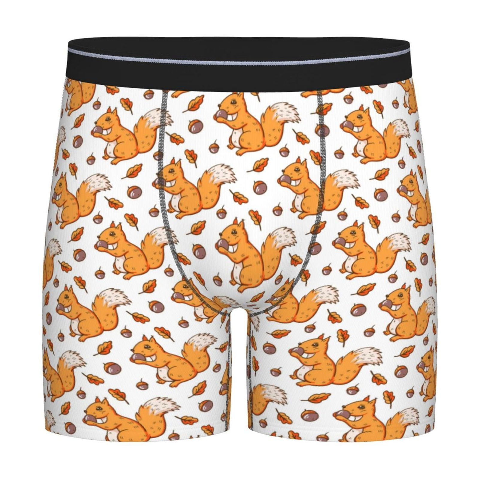 Disketp Playful Squirrel Autumn Men's Boxer Briefs Men’s Underwear ...