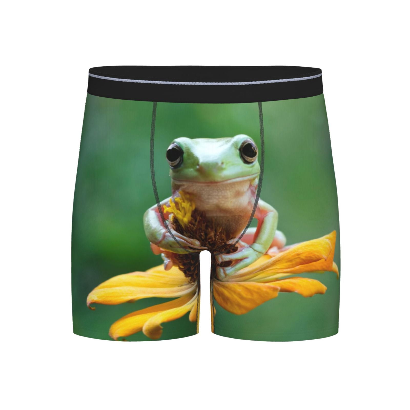 Disketp Tree Frog Sitting On Sunflowes Men's Boxer Briefs Men’s ...