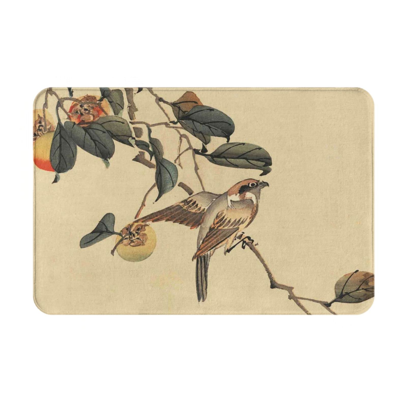 Disketp Vintage Bird Mat For Front Door Outside - Doormat Outdoor ...