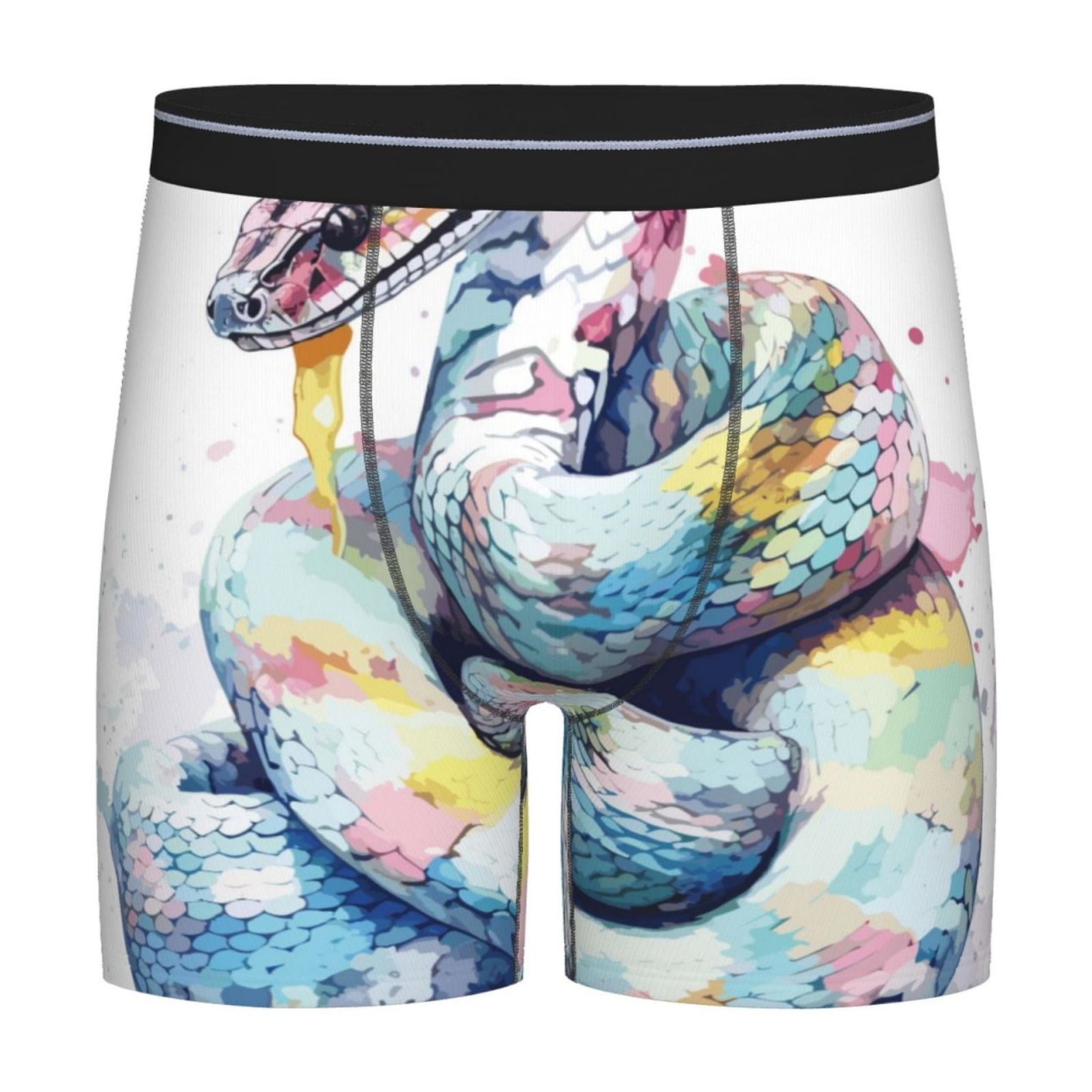 Disketp Watercolor Snake Men's Boxer Briefs Men’s Underwear Boxer ...