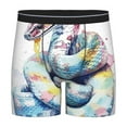 Disketp Watercolor Snake Men's Boxer Briefs Men’s Underwear Boxer ...