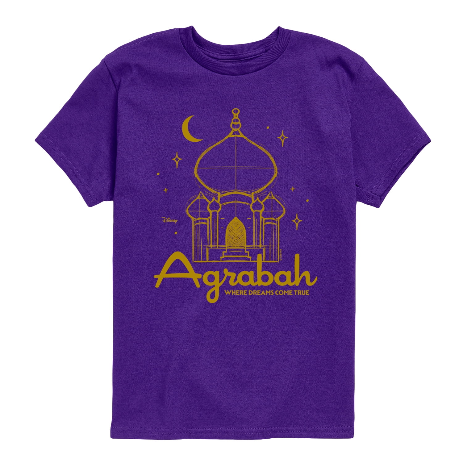 Disney - Agrabah - Youth Boys Short Sleeve Graphic T-Shirt - Walmart.com