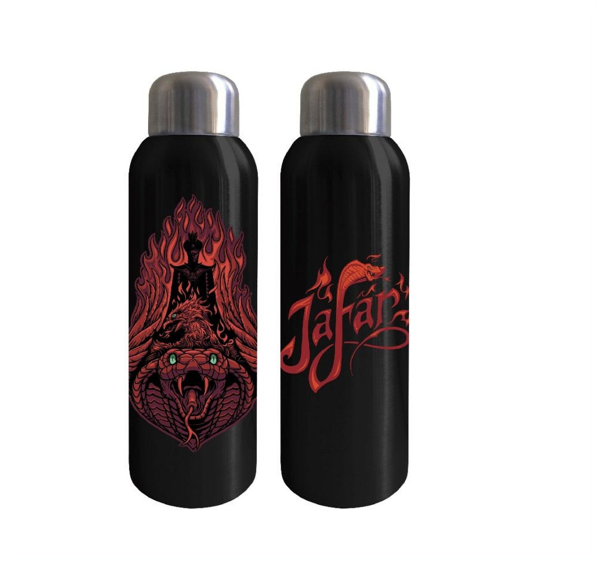 Disney Aladdin 22 Oz Stainless Steel Water Bottle - Walmart.com