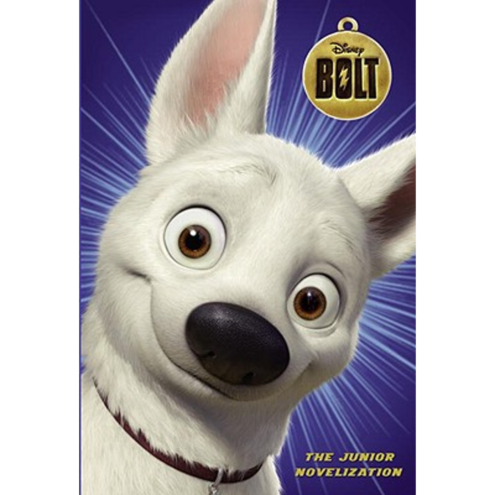 Disney Bolt