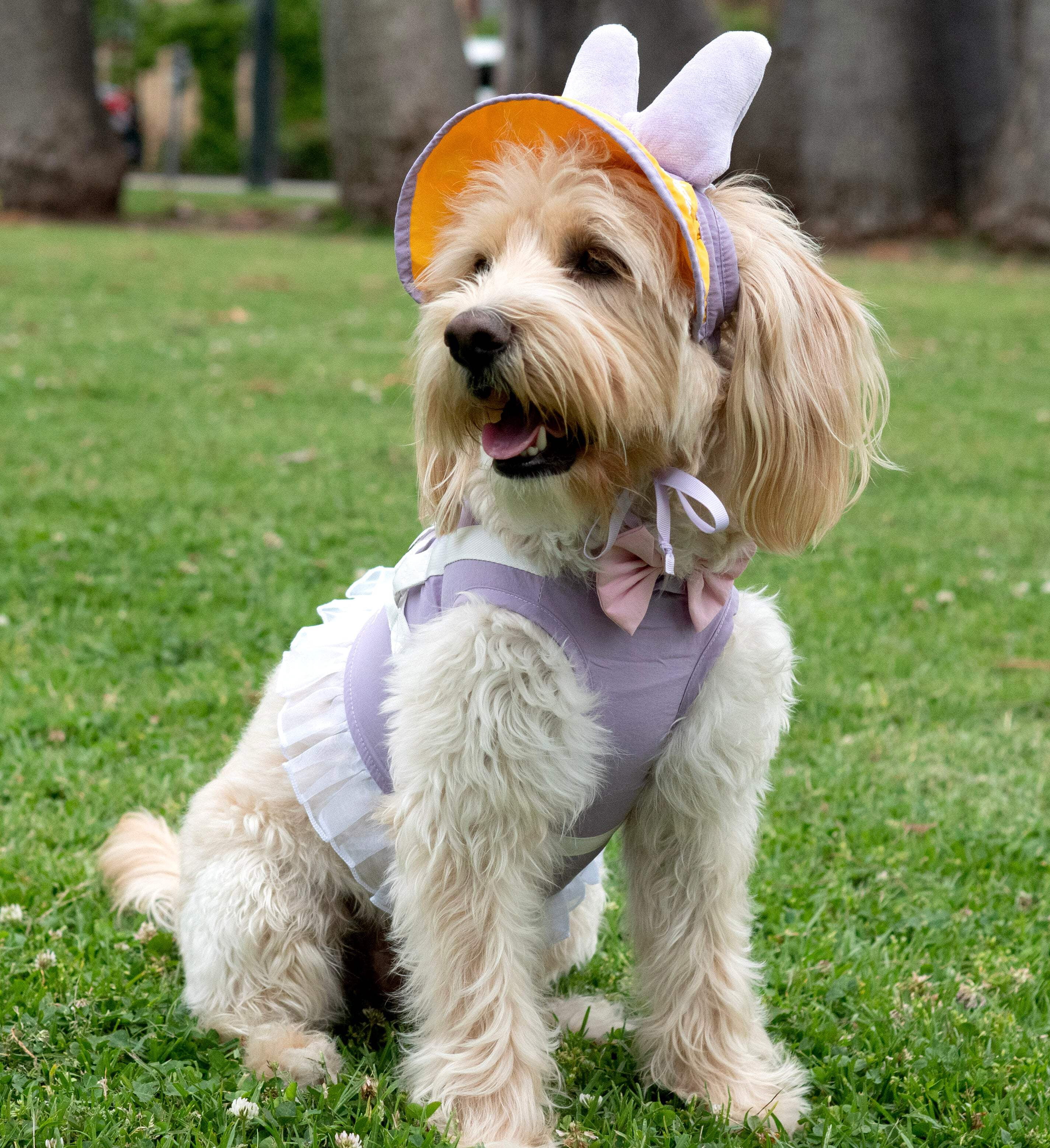 A Leading Role x Disney Daisy Duck Premium Pet Harness - Walmart.com