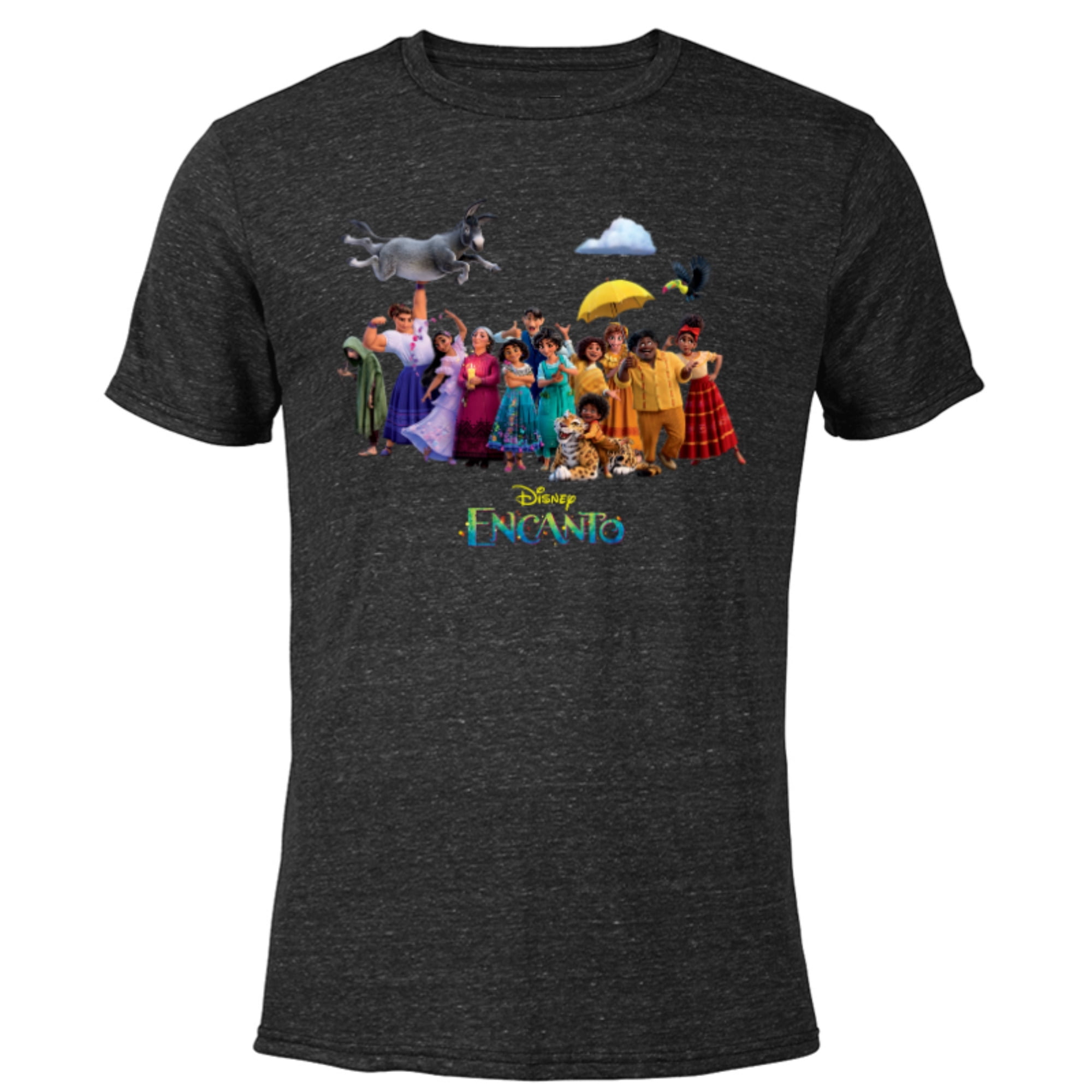 Disney Encanto Madrigal Magical Family Portrait - Short Sleeve Blended ...