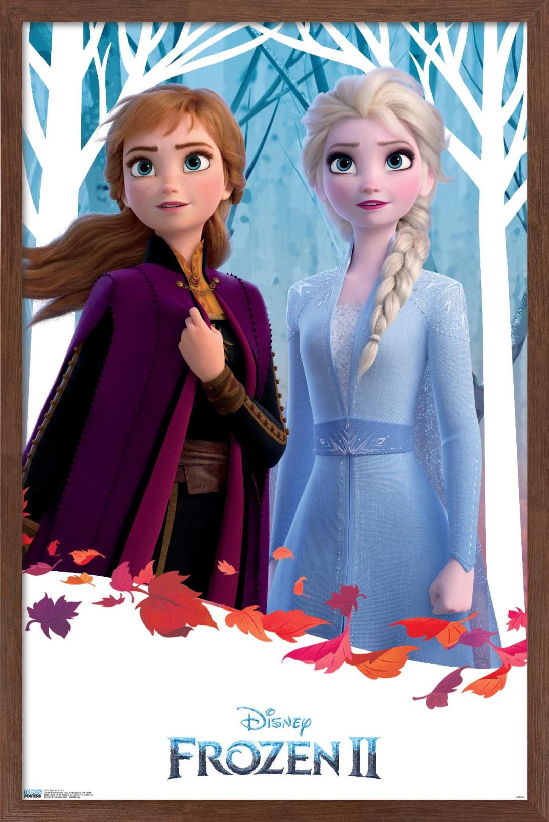Disney Frozen 2 - Duo Wall Poster, 14.725" x 22.375", Framed - Walmart.com