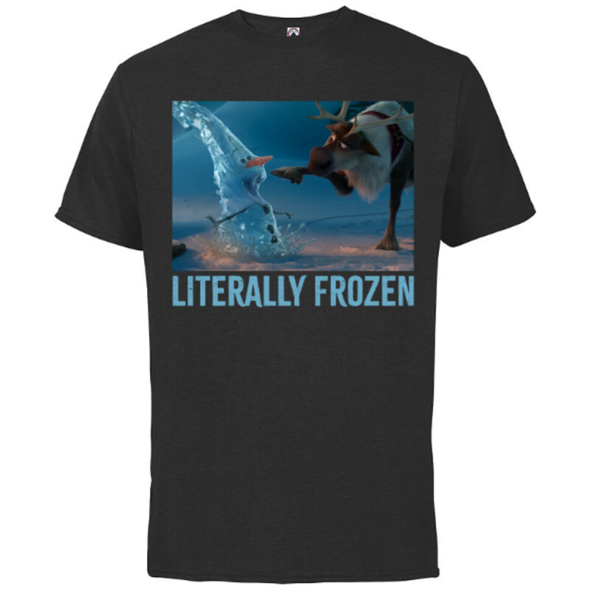 Disney Frozen Funny Meme