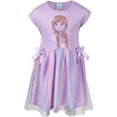 Disney Frozen Princess Anna Toddler Girls Dress Toddler to Big Kid ...