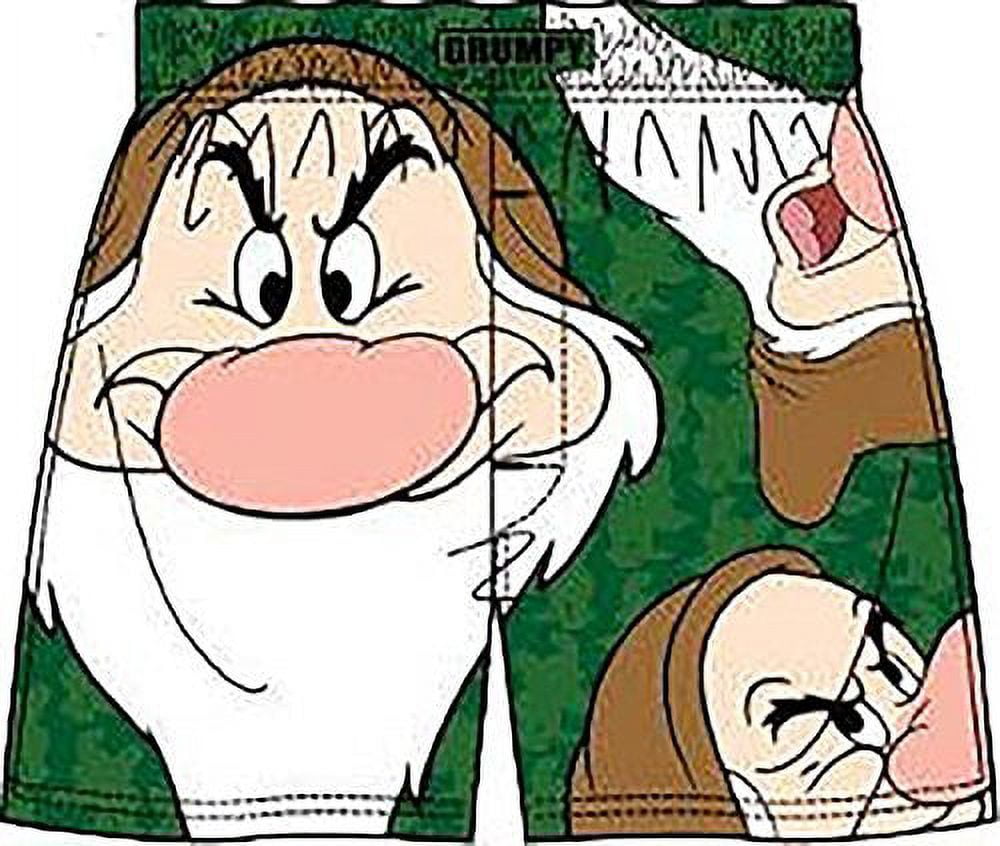 Disney Grumpy All Over Grumpy Print Green Mens Boxer Brief Shorts (2XL ...