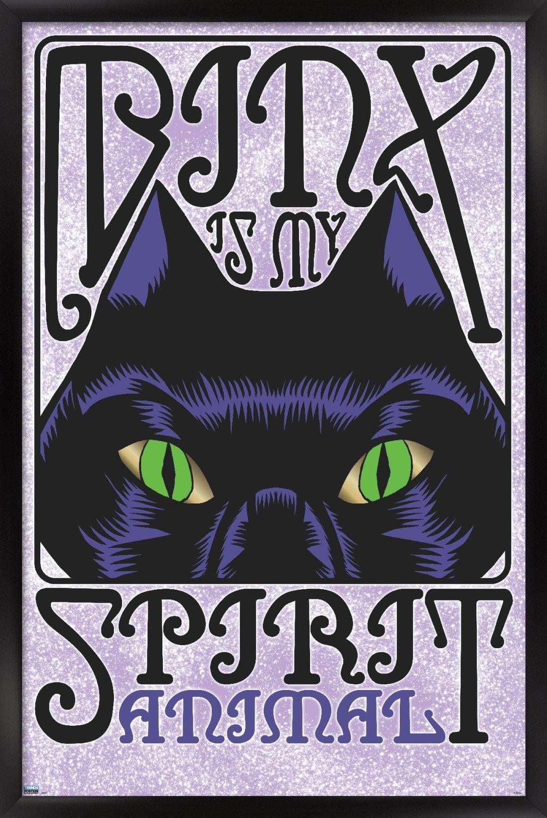 Disney Hocus Pocus - Binx Wall Poster, 14.725" x 22.375", Framed ...