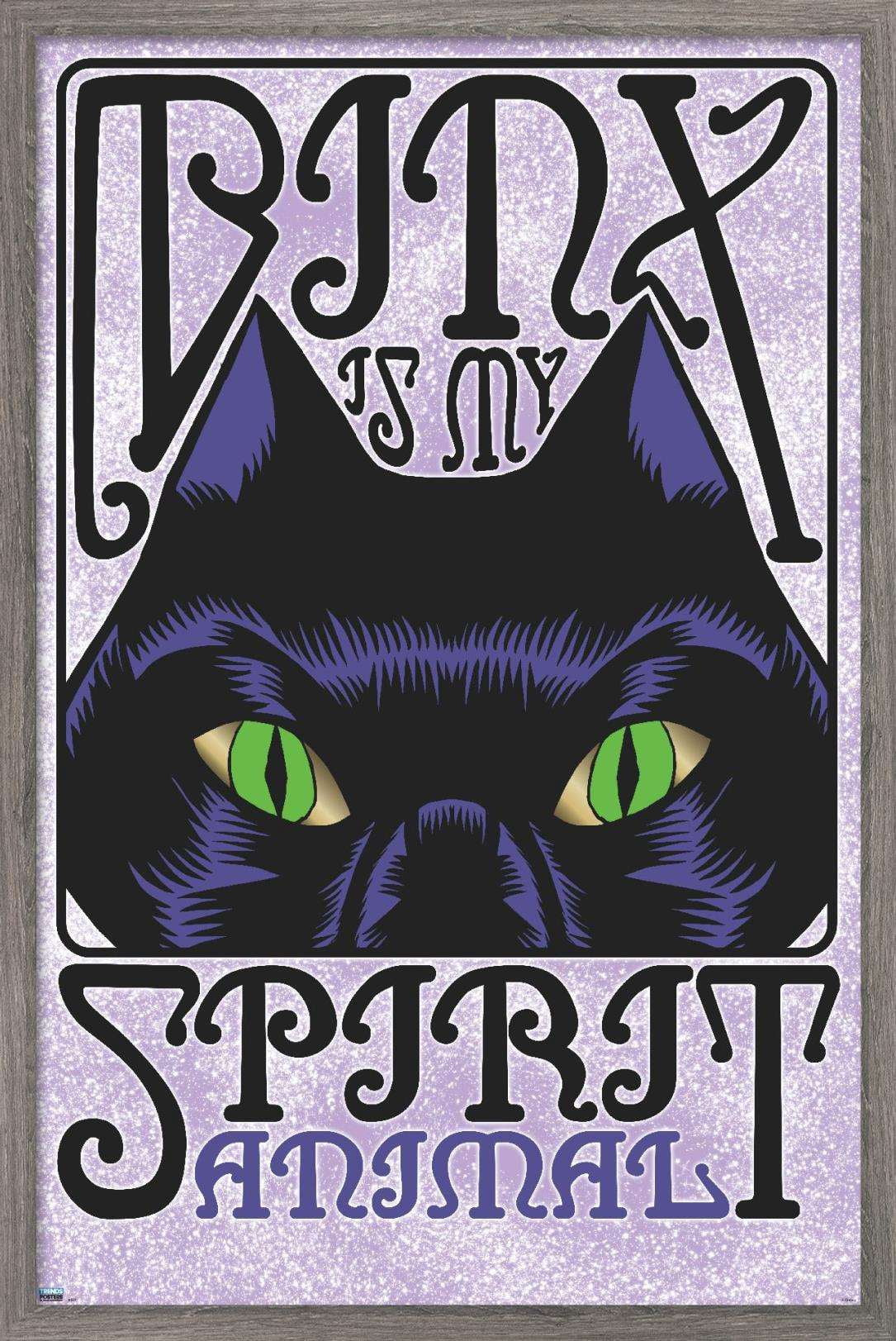 Disney Hocus Pocus - Binx Wall Poster, 14.725" x 22.375", Framed ...