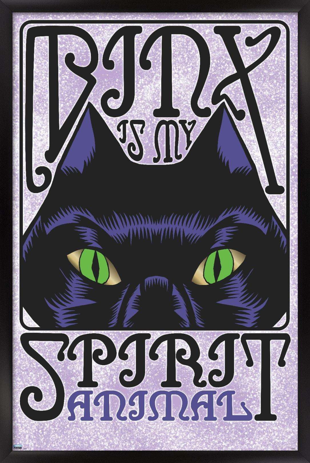Disney Hocus Pocus - Binx Wall Poster, 22.375" x 34", Framed - Walmart.com