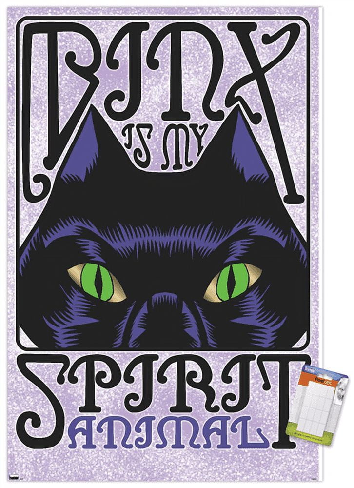 Disney Hocus Pocus - Binx Wall Poster, 22.375" x 34" - Walmart.com