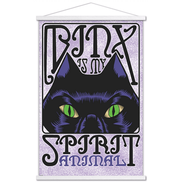 Disney Hocus Pocus - Binx Wall Poster with Magnetic Frame, 22.375" x 34 ...