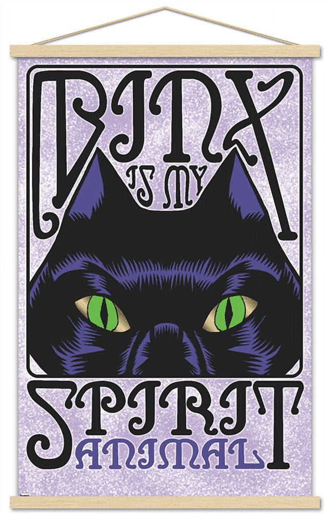 Disney Hocus Pocus - Binx Wall Poster with Magnetic Frame, 22.375" x 34 ...