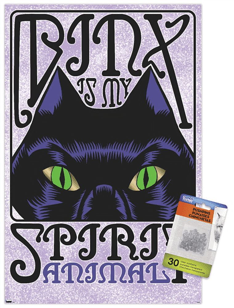 Disney Hocus Pocus - Binx Wall Poster with Push Pins, 14.725" x 22.375 ...