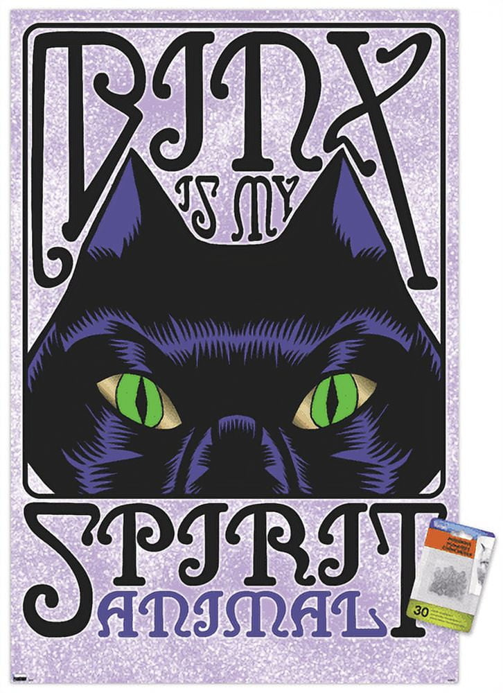 Disney Hocus Pocus - Binx Wall Poster with Push Pins, 22.375" x 34 ...