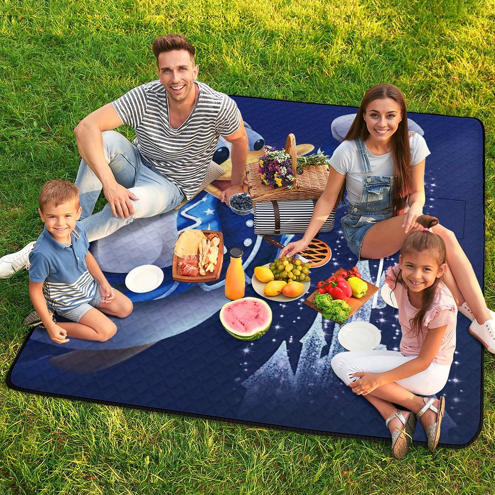 Disney-Mickey & Friends Donald Duck Picnic Blanket,Foldable Waterproof ...