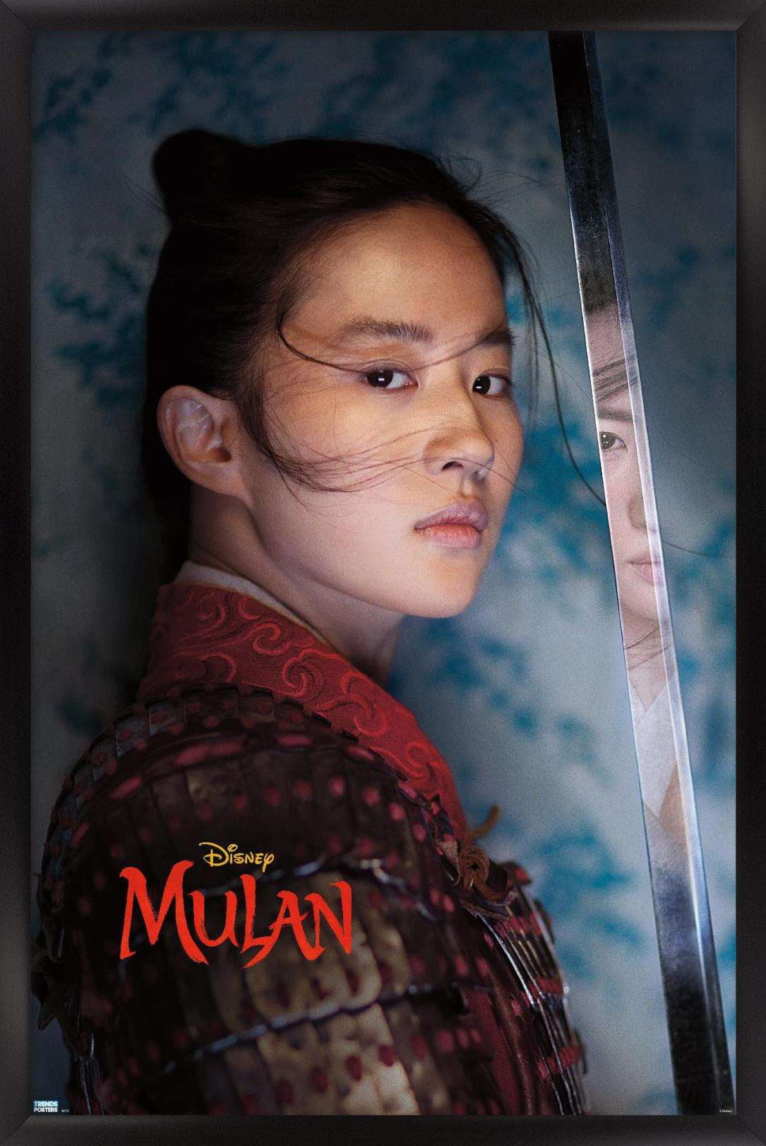 Mulan Warrior