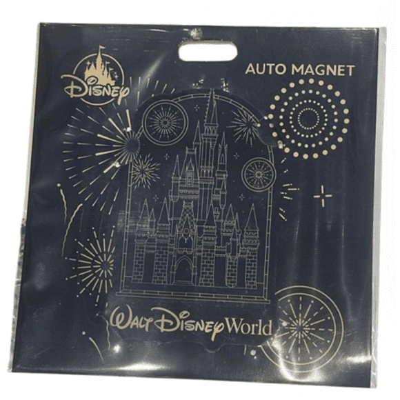 Disney Ap Magnet
