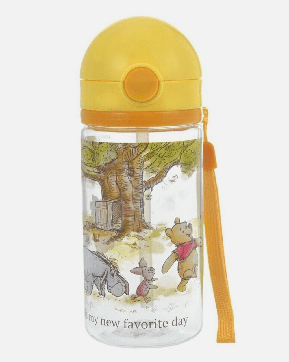 Disney Parks Winnie the Pooh Classic Collection Water Bottle for Kids ...
