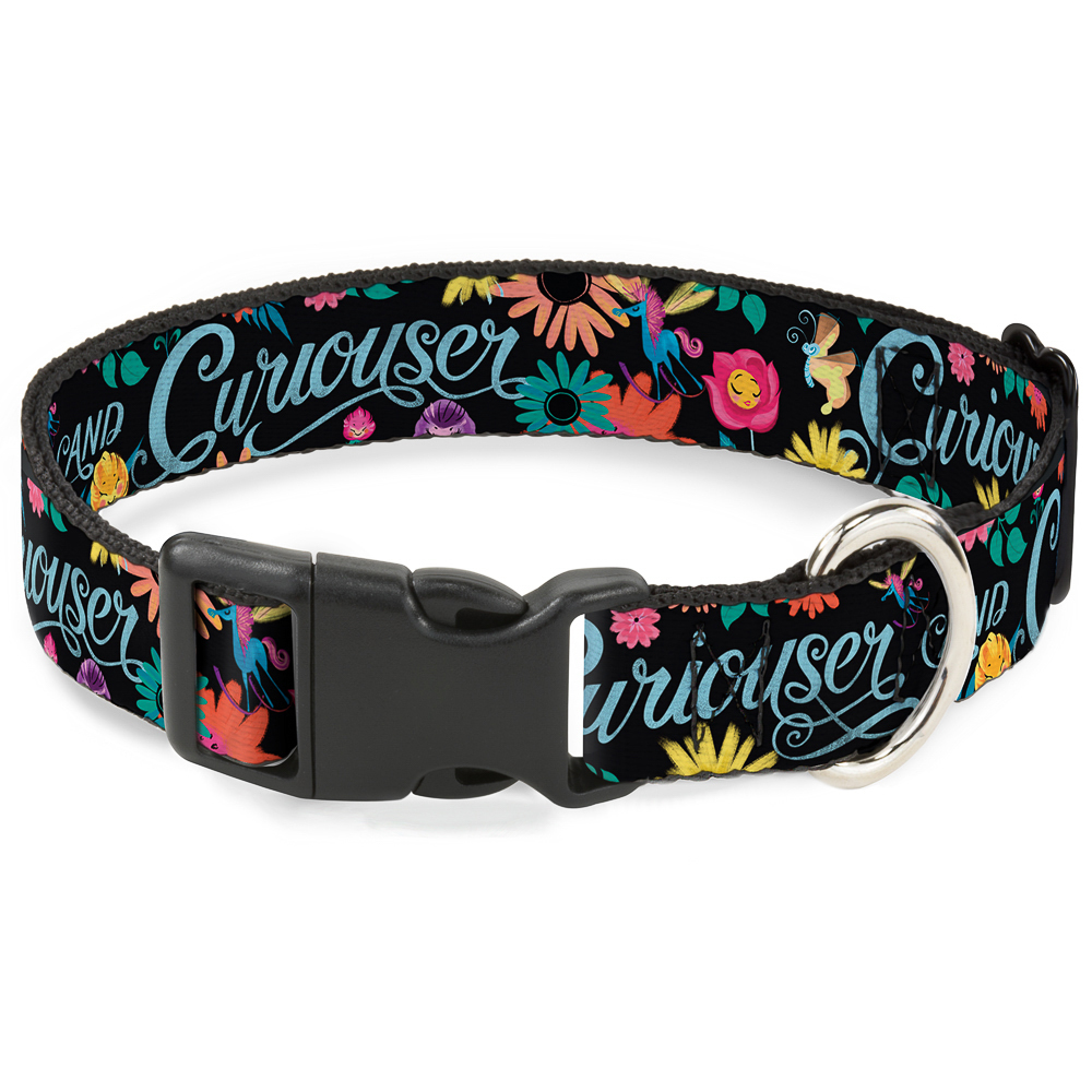 Disney Pet Collar, Dog Collar Plastic Buckle, Curiouser And Curiouser ...
