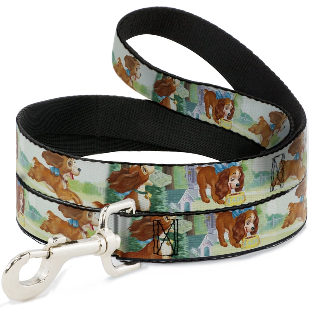 Disney Pet Leash, Dog Leash, Lady 3 Scene Poses, 6 Feet Long 1.0 Inch ...