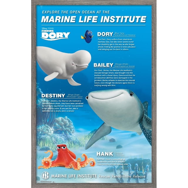 Disney Pixar Finding Dory - Group Wall Poster, 14.725" x 22.375 ...
