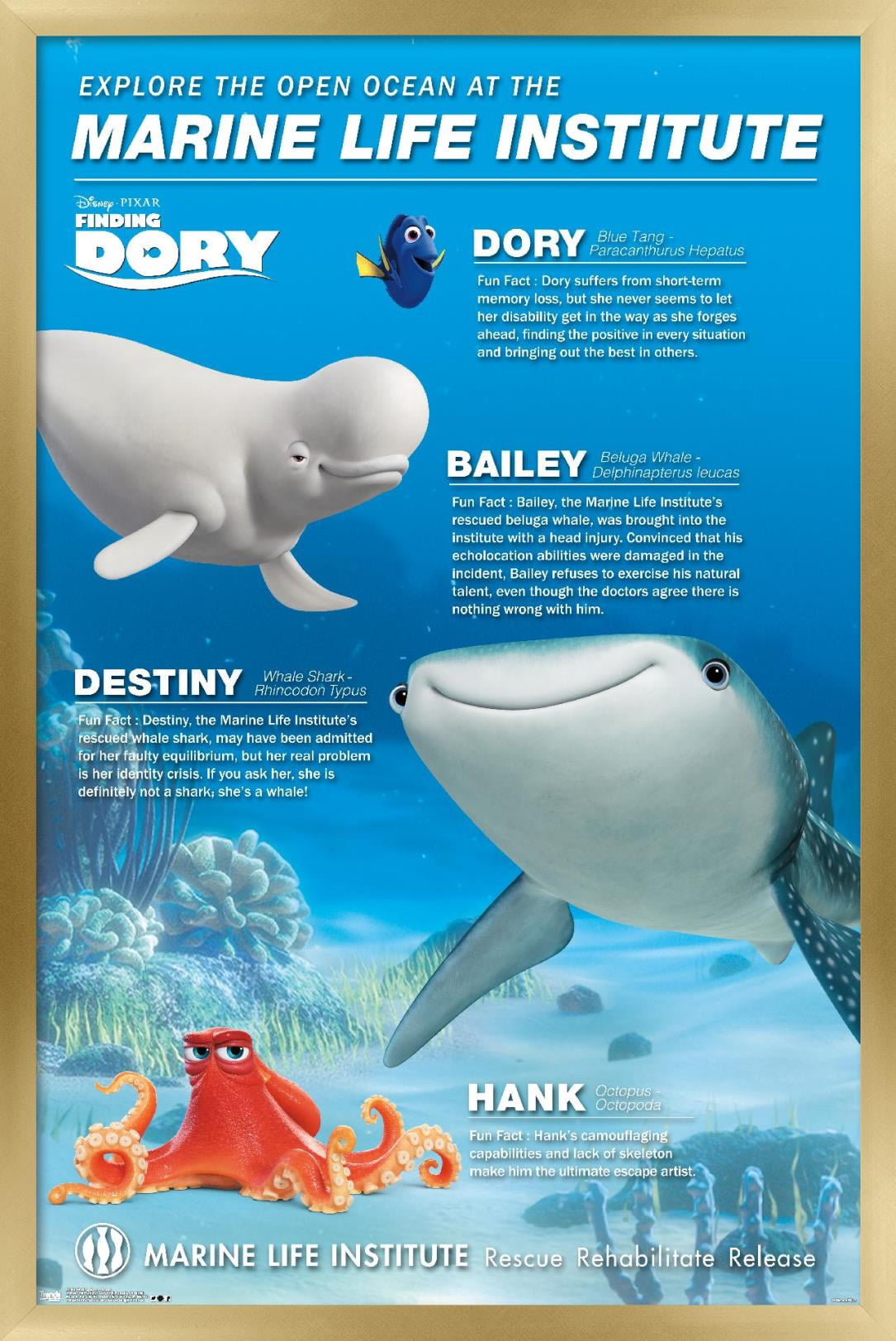 Finding Dory 2022 Poster