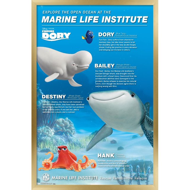 Disney Pixar Finding Dory - Group Wall Poster, 22.375" x 34", Framed ...