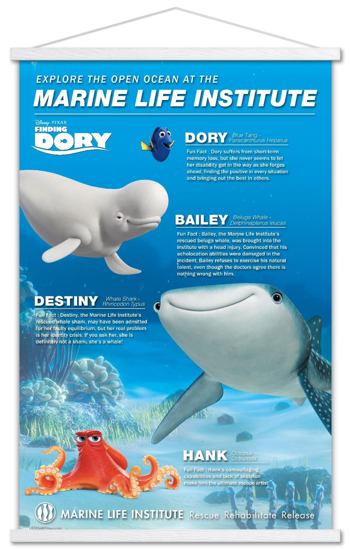 Disney Pixar Finding Dory - Group - Walmart.com
