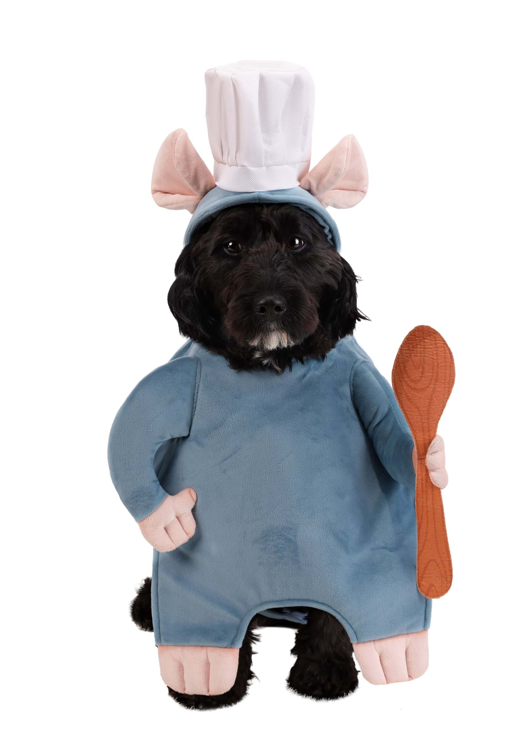 Disney Pixar Remy Pet Costume - Walmart.com