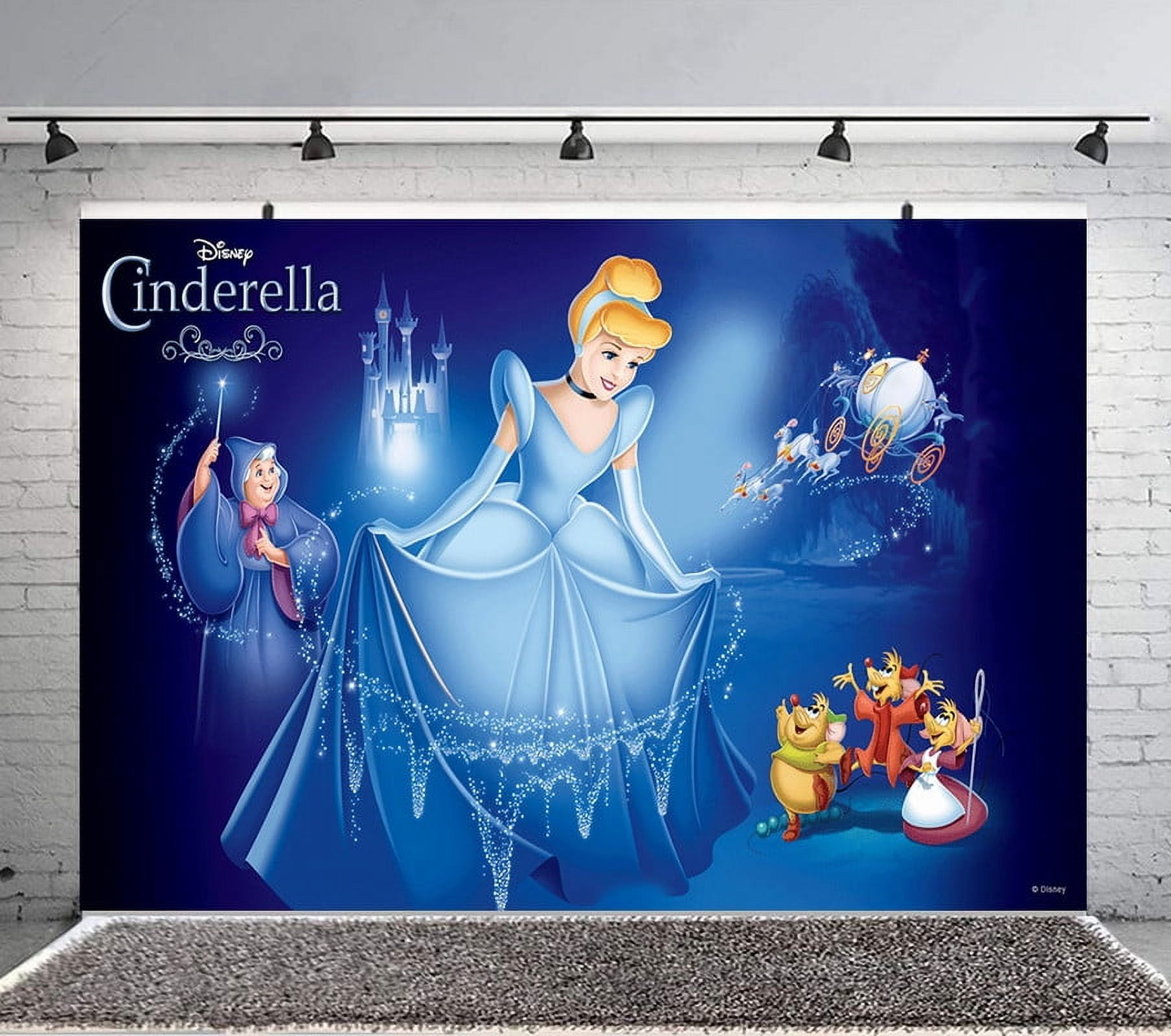 Disney Princess Backdrop Banner Party Supplies Poster Movie Theme ...
