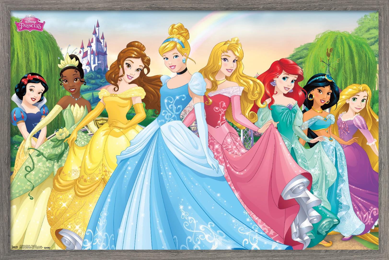 Disney Princess - Castle Lawn Group Wall Poster, 22.375" x 34", Framed ...