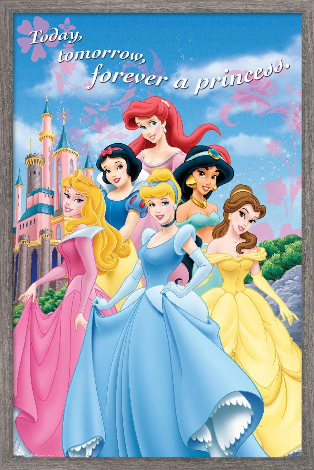 Disney Princess - Castle Wall Poster, 14.725" x 22.375", Framed ...