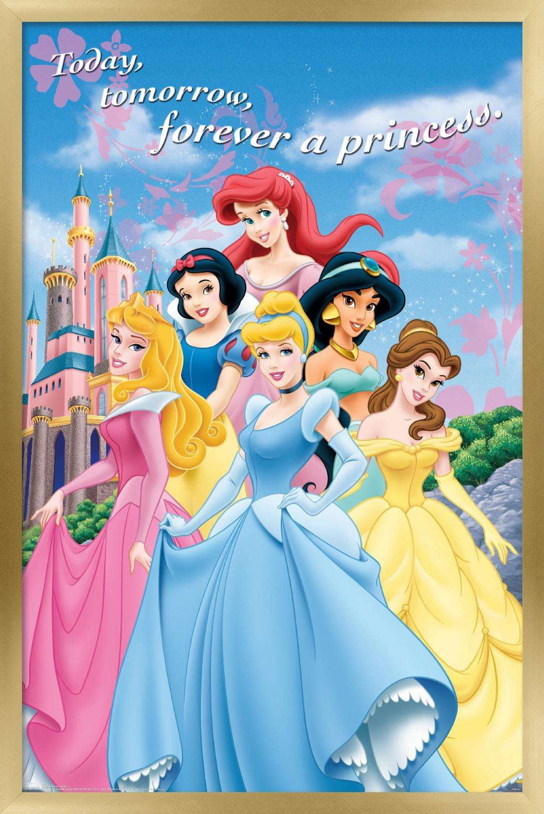 Disney Princess Castle Cartoon