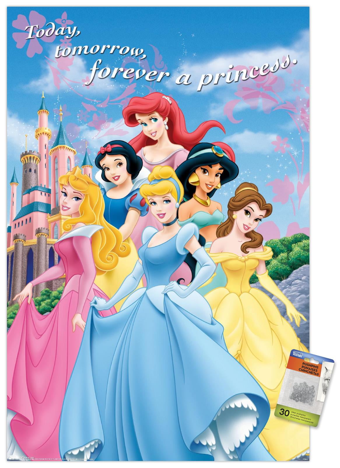 Disney Princess - Castle Wall Poster with Push Pins, 22.375" x 34 ...