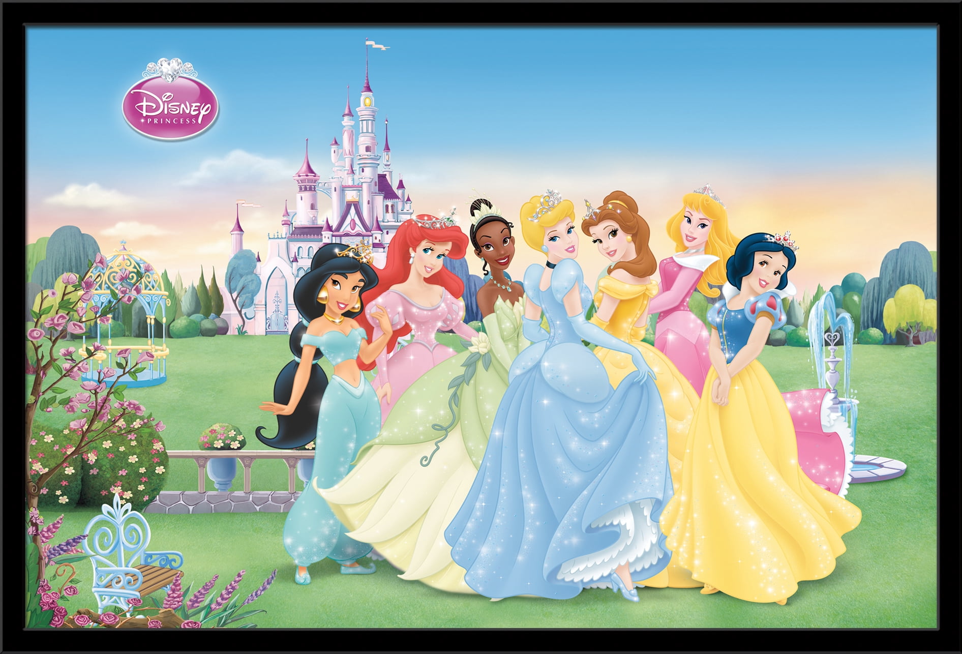 Disney Princess - Collection Wall Poster, 22.375" x 34", Framed ...
