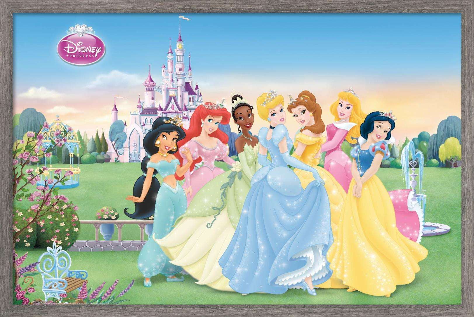 Disney Princess - Collection Wall Poster, 22.375" x 34", Framed ...