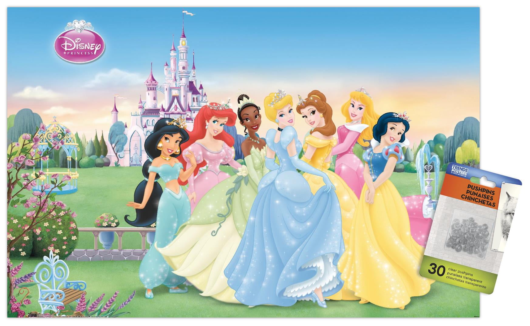 Disney Princess - Collection Wall Poster with Push Pins, 14.725" x 22. ...