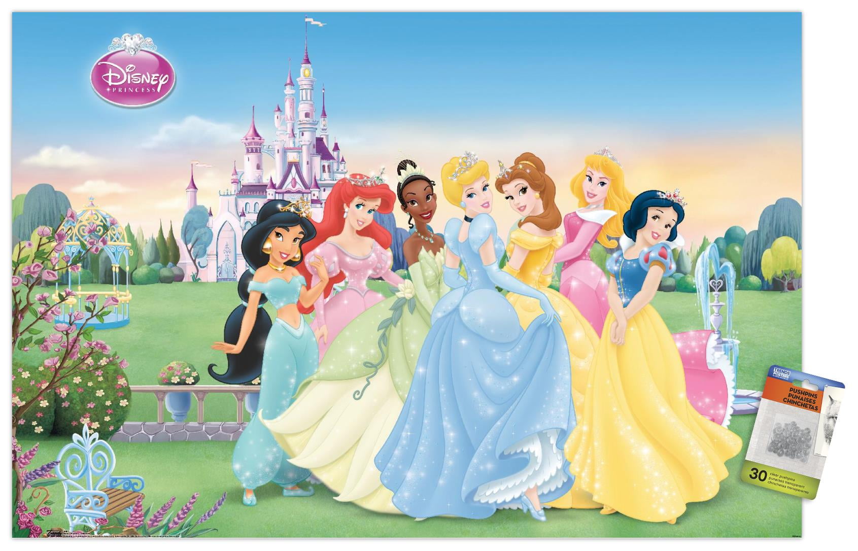 Disney Princess - Collection Wall Poster with Push Pins, 22.375" x 34 ...