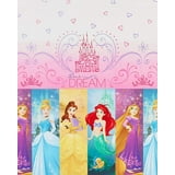 Disney Princess Plastic Table Cover 54" x 96" - Walmart.com