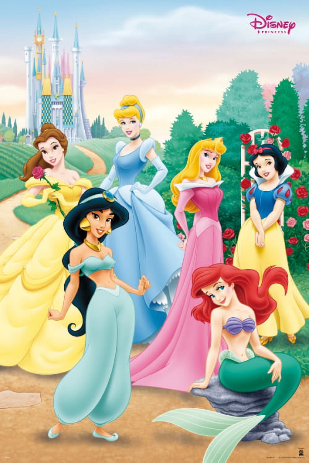 Disney Princess/ Pose Poster (24 x 36) - Walmart.com