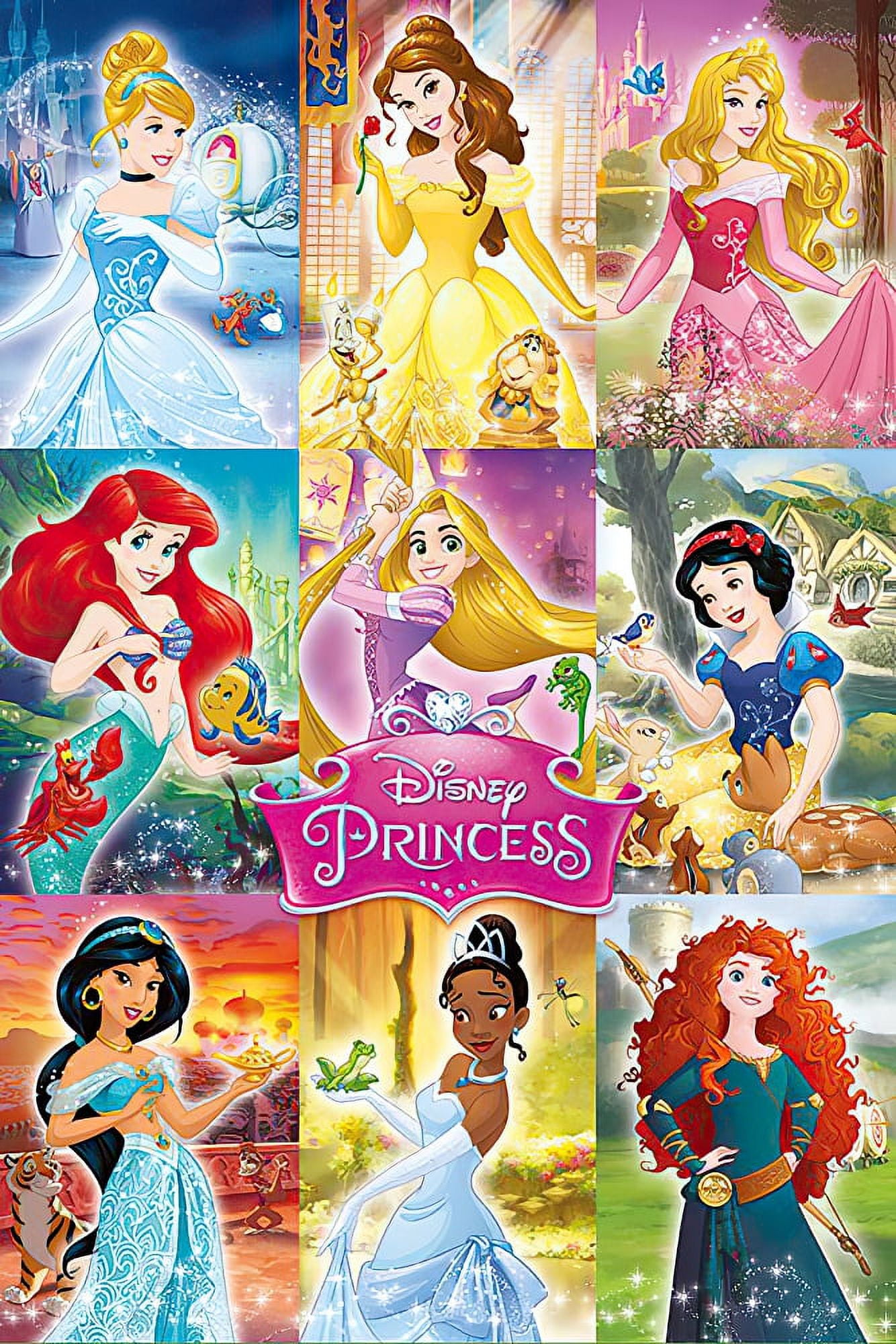 Disney Princess - TV Show / Movie Poster / Print (9 Princesses) (Poster ...