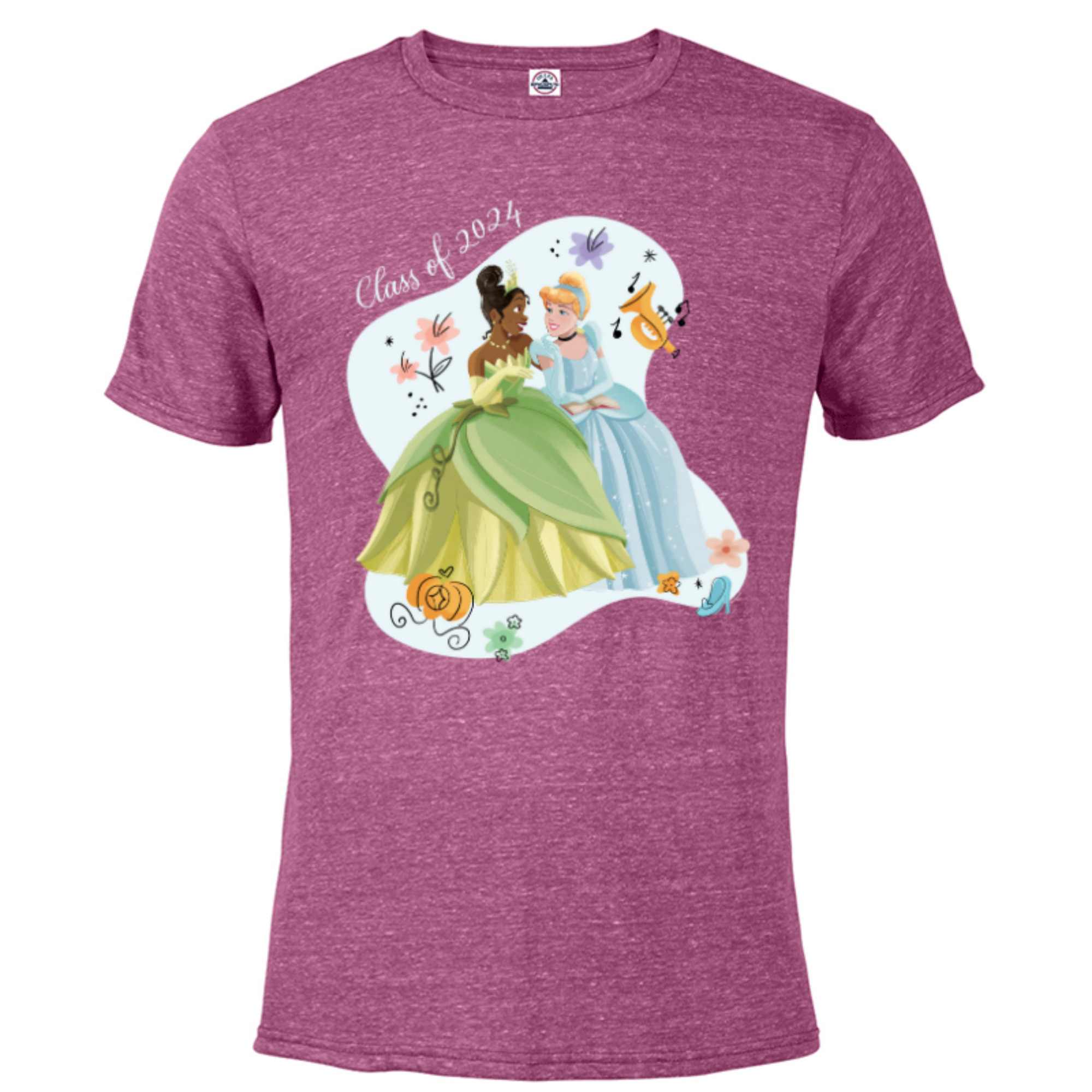 Disney Princess Tiana & Cinderella Graduation Class of 2024 - Short ...